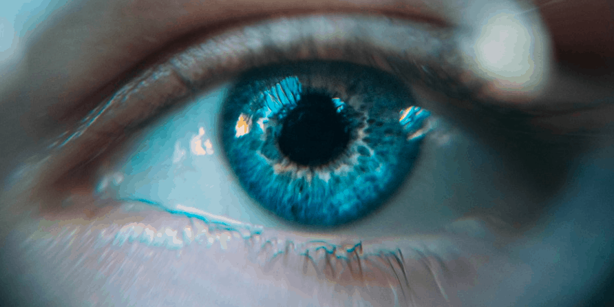 Five Ways to Fire Up Visual Search: The Skai 5