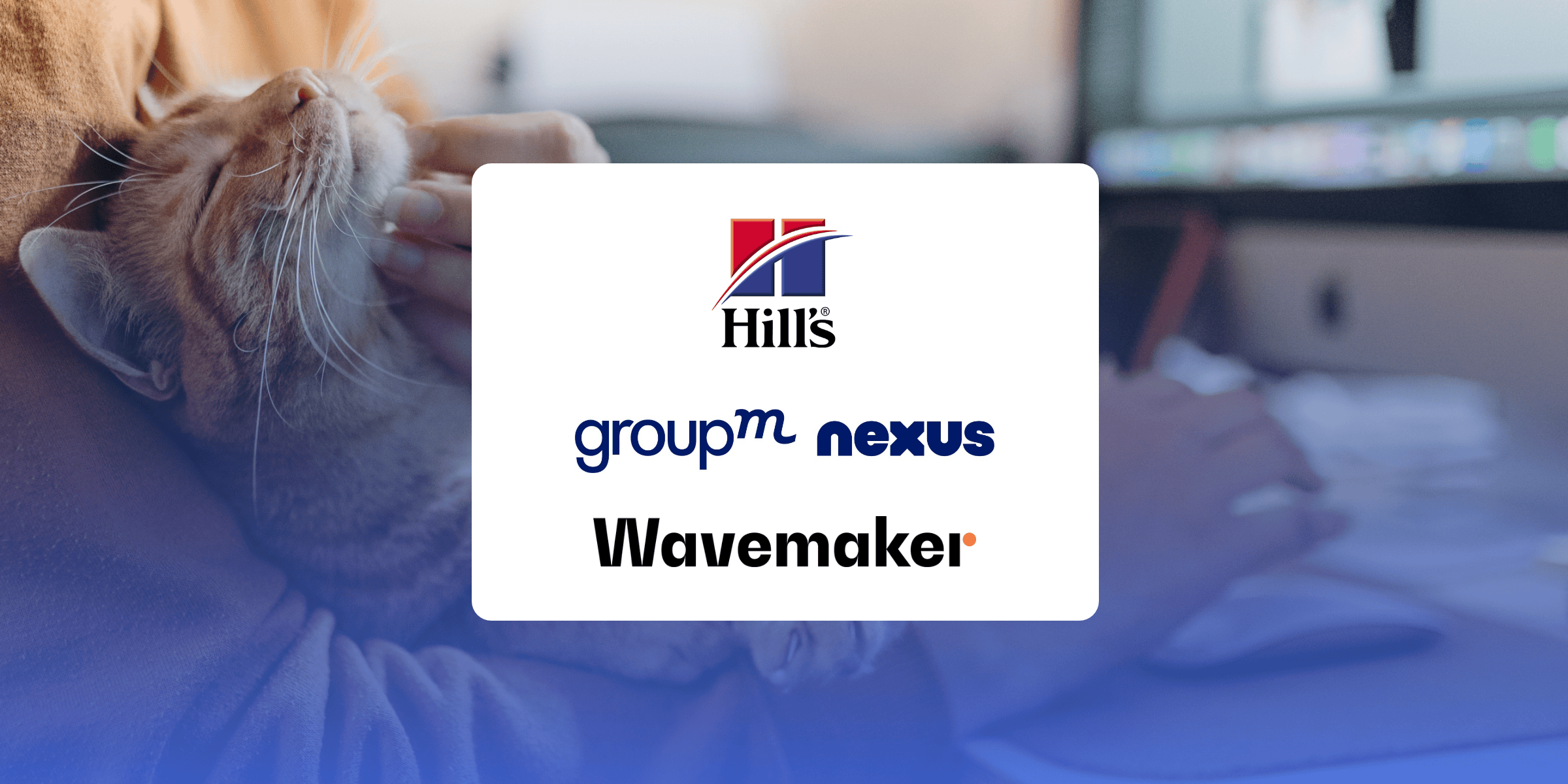 Retail Media Case Study: Wavemaker GroupM Nexus | Skai