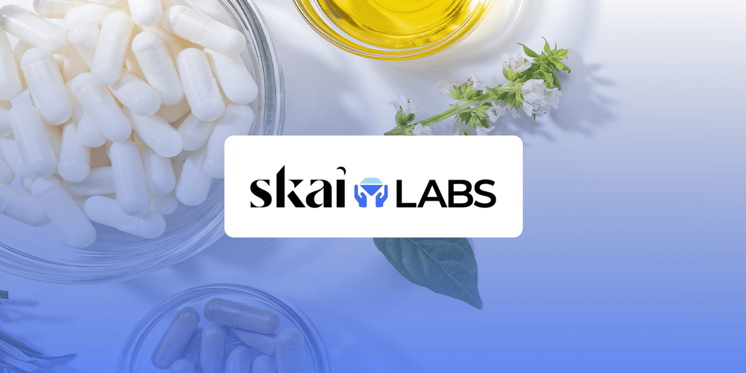 Skai Case Study | Paid Search with Skai’s AI and automation