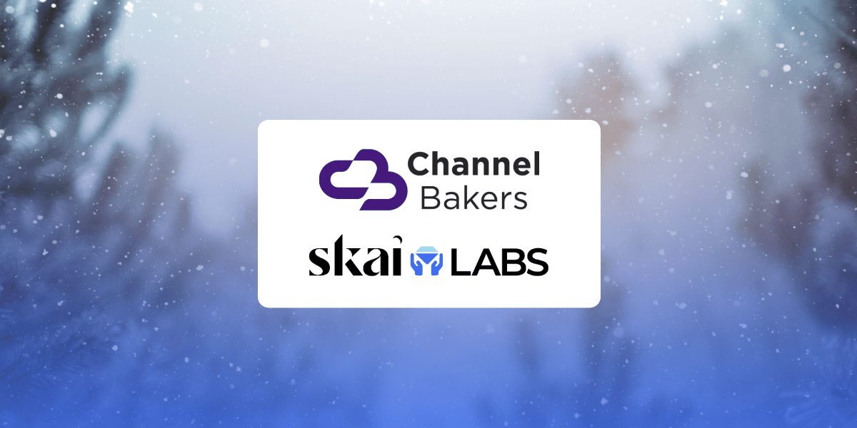 Skai Retail Media Case Study | Channel Bakers